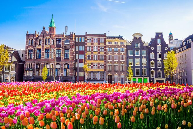 Amsterdam Day Trip from Brussels - Final Thoughts