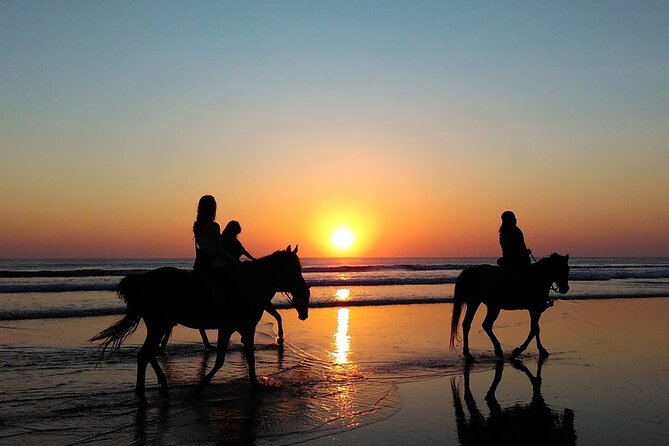 Antalya Horse Riding On Beach And Through The Forests For 2 Hours - The Sum Up: Who Will Love This Tour?