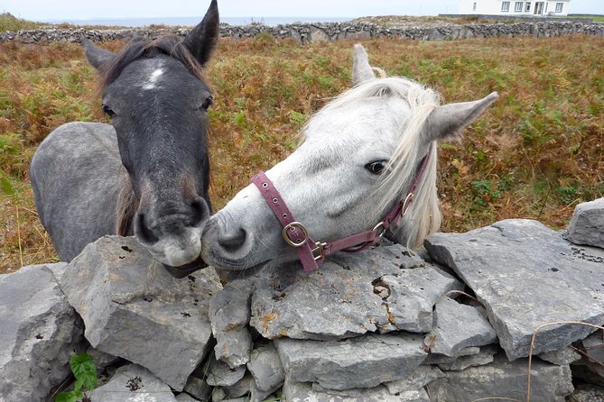 Aran Islands Scenic Flight and Galway Rail Tour from Dublin - The Long Travel, The Cost, and Weather Woes