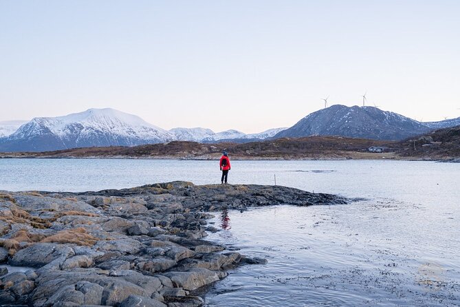 Arctic Roadtrip: fjords with scenic picnic | Small group 4x4 Van - FAQ