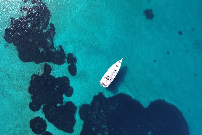 Athens Half-Day Morning Sailing Cruise with Greek Gastronomy - Frequently Asked Questions