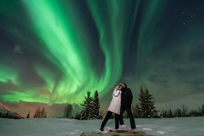 Aurora Magic Northern Lights Tour with Pro Photographer - Reviews and Real Experiences