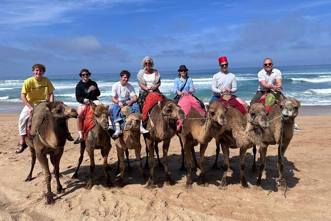 Authentic Private Tangier Tour from Seville Camel Ride & Lunch - Potential Drawbacks