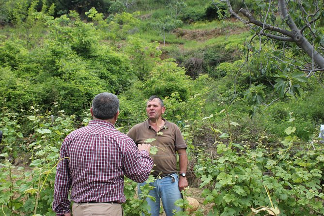 Berat Grand Wine Tasting & Food Tour - FAQs
