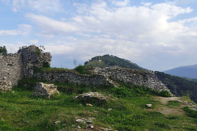 Berat - Unesco Heritage & Wine Tasting, Private Tour - Wine Tasting at Cobo Winery