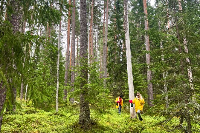 Berry Picking in a National Park - Who Will Love This Tour?
