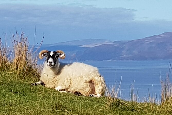 Bespoke Private Tours of Scotland and the Borders - Final Thoughts: Who Should Consider This Tour?