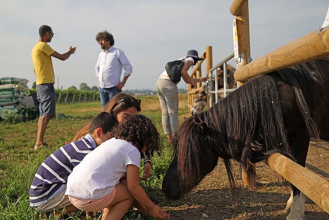 Biodynamic Farm and Natural Wines Tasting in Lazise - Final Thoughts