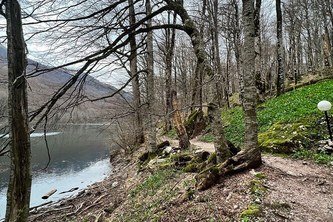 Biogradska Gora National Park Tour with Optional Add-Ons - FAQ