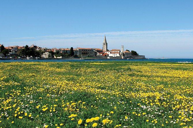 Boat trip to Rovinj and Vrsar from Pore with lunch - Authentic Experiences and Traveler Insights