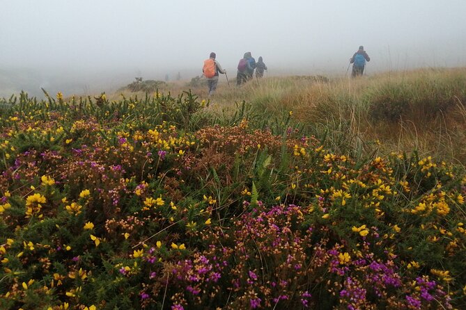 Bog Safari Hike - Who Should Book This Tour?