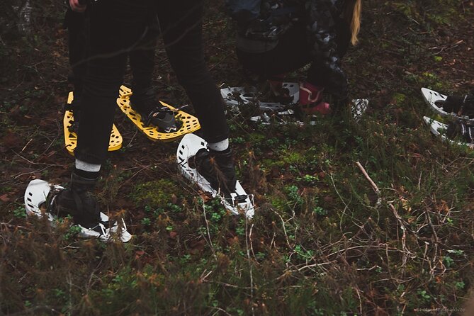 Bog-shoe Hiking Tour - Is This Tour For You?