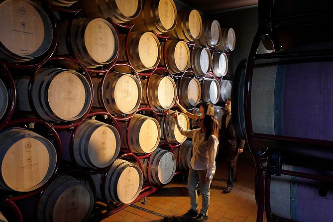Bolgheri: Classic Wine Tasting with Winery Tour - Final Thoughts
