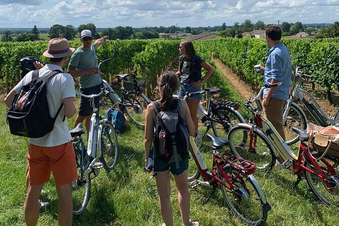 Bordeaux Full Day Wine and Bike Tour - Practical Details and Considerations