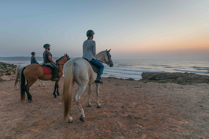 Bordeira Beach - Horse Riding Tour at Sunset - Real Experiences from Travelers