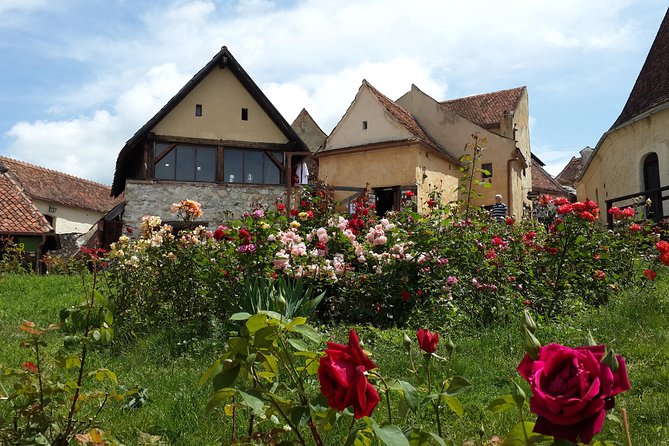 Brasov: Peles Castle, Bran Castles and Rasnov Fortress Day Tour - FAQs