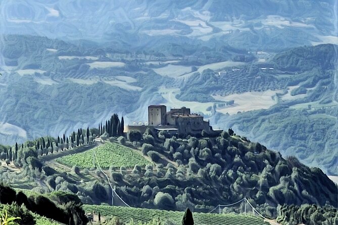 Brunello di Montalcino 2 Top Wineries full day Limousine Service - FAQs