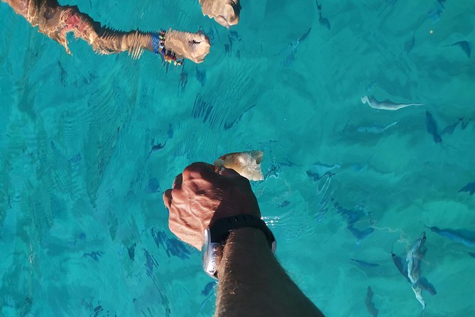 By boat between the sea and the most beautiful beaches! Capo Vaticano - Tropea - Briatico - FAQ