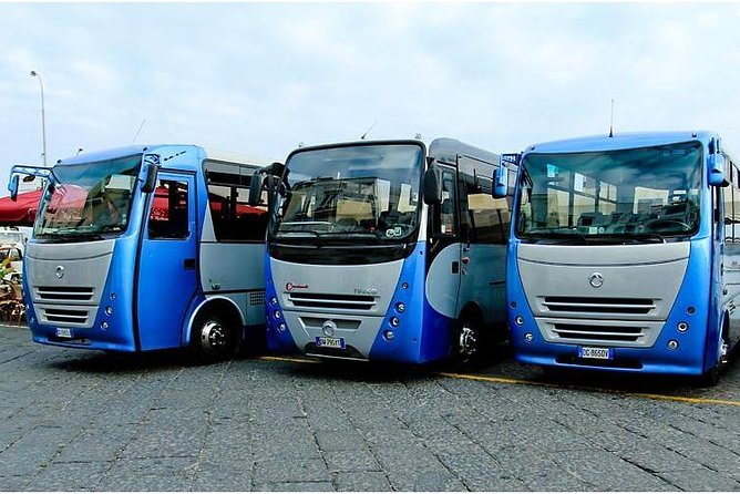 CAPRI - DIY Day Trip Package - BoatTour, BlueGrotto,Bus&Lunch - FAQ