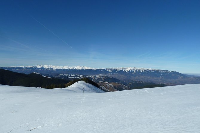 Carpathians in Romania: Piatra Craiului National Park with native Spanish guide. - What Travelers Say