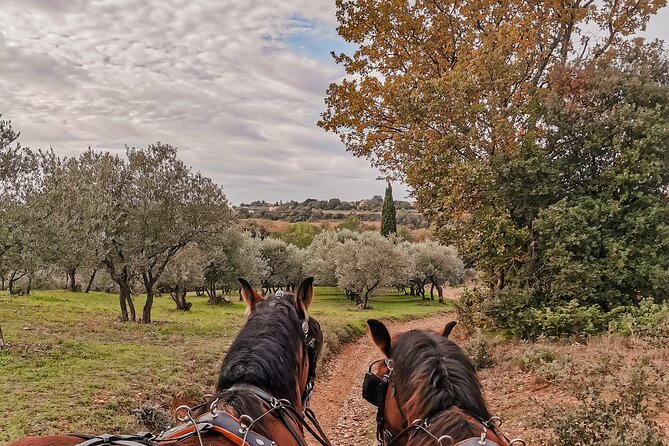 Carriage rides, Pays de Sommières - FAQ