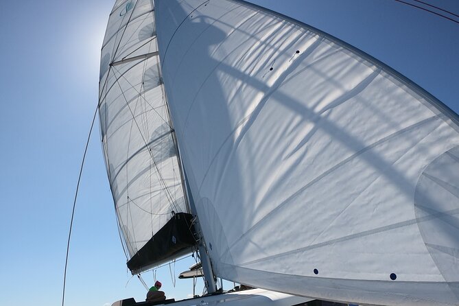 Catamaran in Alghero, daily boat trip - Who Will Love This Trip?