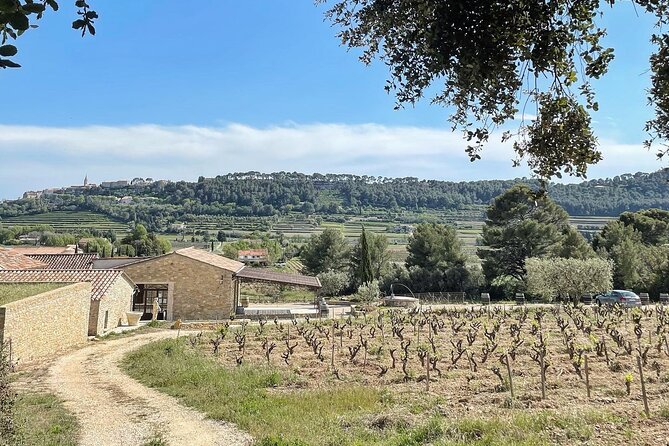 Cellar Visit & Bandol Wine Tasting (in French) - Final Thoughts