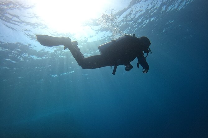 Chania Scuba Diving 2 Shore Dives(Receive Certification) - Who Should Consider This Experience