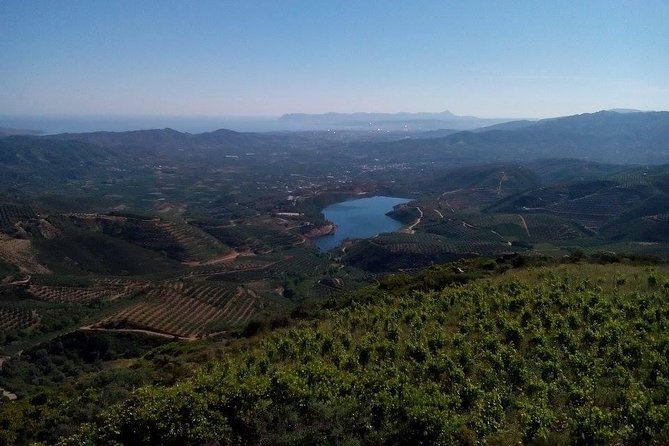 Chania Shore Excursion Off Road Vineyard and Winery Tour Half Day - Authentic Experiences and Consistency