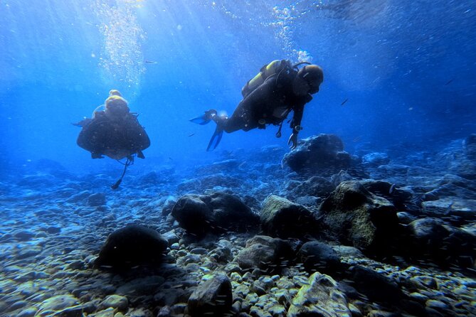 Chania | Try Scuba Diving | Private Introduction Dive - Who Is This Tour Best For?