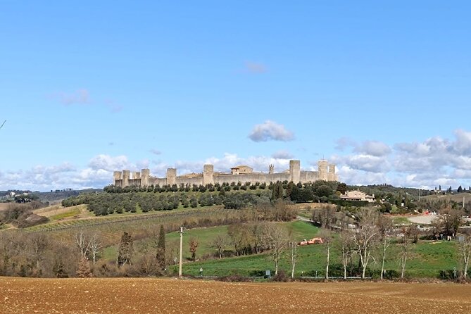 Chianti Adventure E-bike tour rental - Authentic Experiences and Feedback