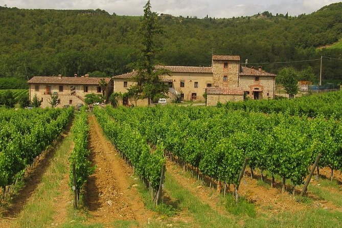 Chianti from Florence:PRIVATE Wine, Olive Oil Tasting in the Tuscan countryside - FAQs
