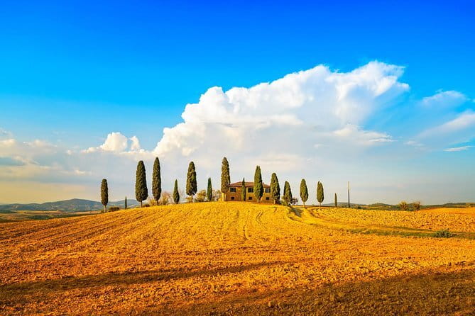 Chianti Vineyards Escape from Florence with Two Wine Tastings - The Final Scenery & Return to Florence