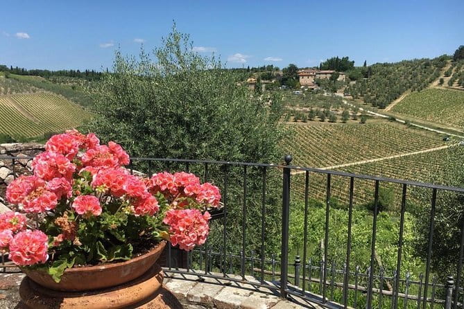 Chianti Wine Tour - Private Wine experience in Tuscany Countryside - Who Will Appreciate This Tour?