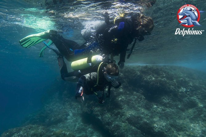Children's PADI Diving Experience in Gran Canaria - The Sum Up: Who Will Love This Experience?