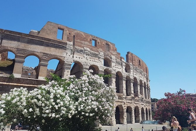 Colosseum Guided Tour - The value proposition: Is it worth it?
