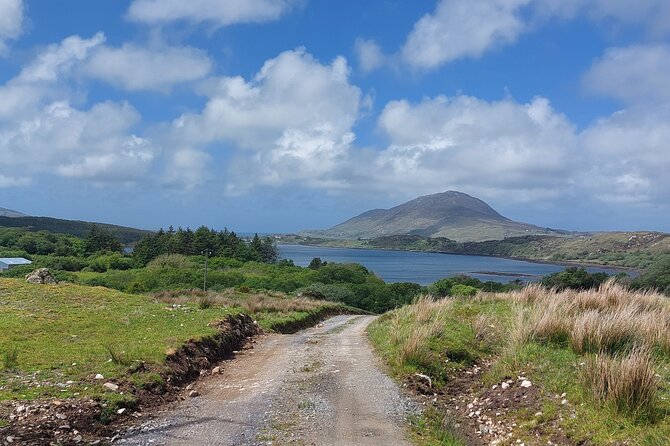 Connemara Sheep Farm experience & Kylemore Abbey by Lux Limousine - Practical Tips