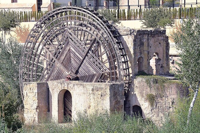 Cordoba's Historical Treasures: A Walking Tour - Who Will Love This Tour?