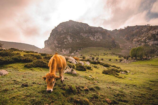 Covadonga Lakes, Sanctuary and Cangas de Onís from Santander - The Sum Up