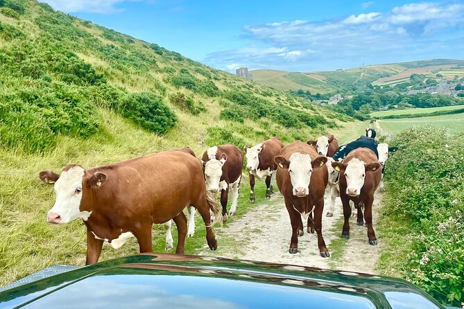 CRUISE SHIP SPECIAL- JEEP SAFARI - PRIVATE GUIDED TOUR (8 Hours) - FAQ