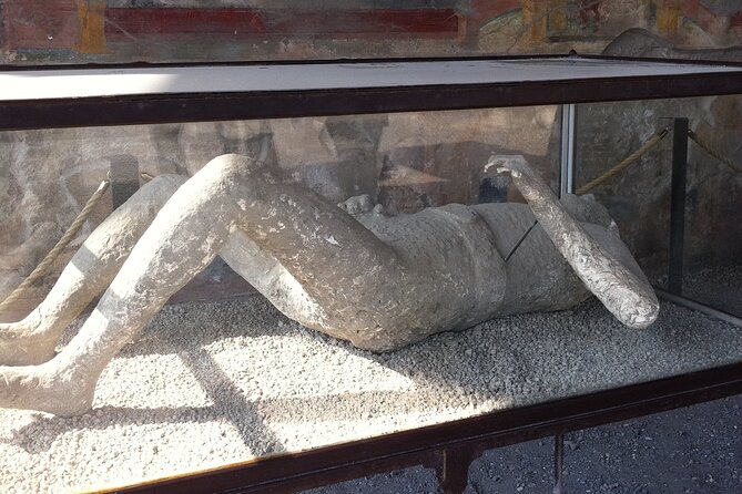 Day trip from Rome to Pompei Mt Vesuvius & Local Guide included - Who Should Consider This Tour?
