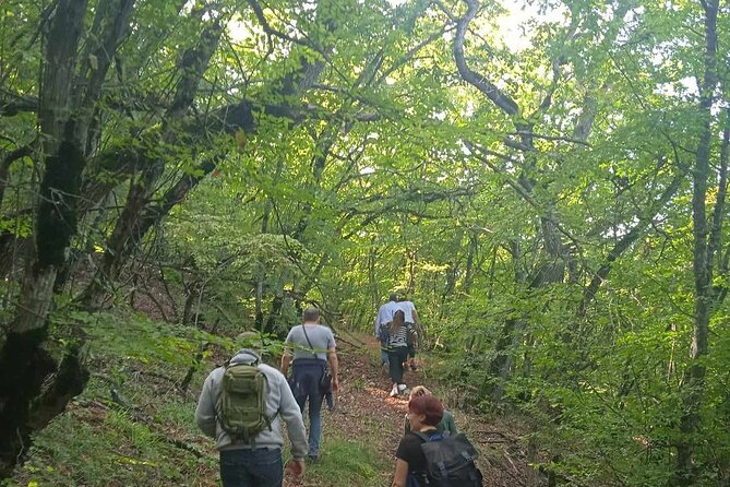 Day Walking Tour/Vashlovani Prot.Area(Eagle Gorge), min 2 persons - FAQ