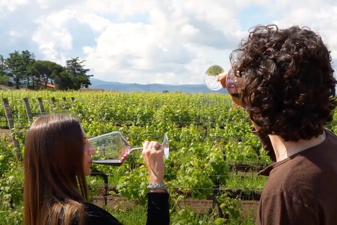 Dinner in the Vineyards - FAQ