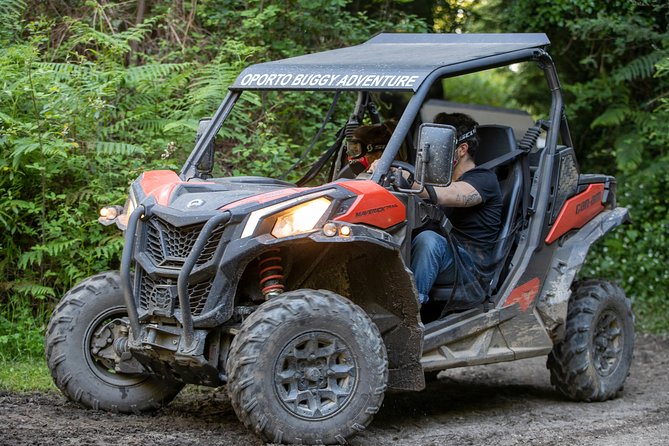 Dirt and Dust Tour by Oporto Buggy - Pricing and Value