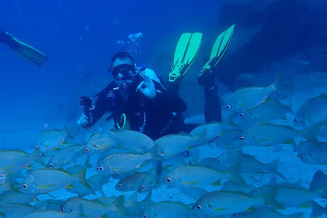 Discover Scuba Diving, Tenerife. Photos and videos included - Authenticity and Customer Feedback