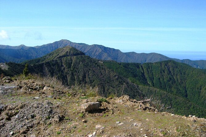 Discover the unexplored beauty of the island by jeep the Nordeste - Practical Tips for Travelers