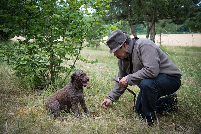 Discovery of the world of Truffles and tasting - Frequently Asked Questions