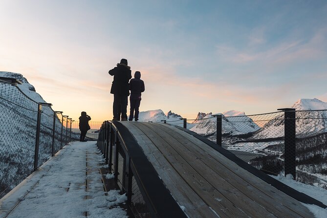Discovery tour of the island of Senja and Kvaløya from Tromsø - The Sum Up