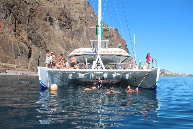 Dolphin and Whale Watching Catamaran Cruise from Funchal - Final Thoughts: Who Will Love This Tour?