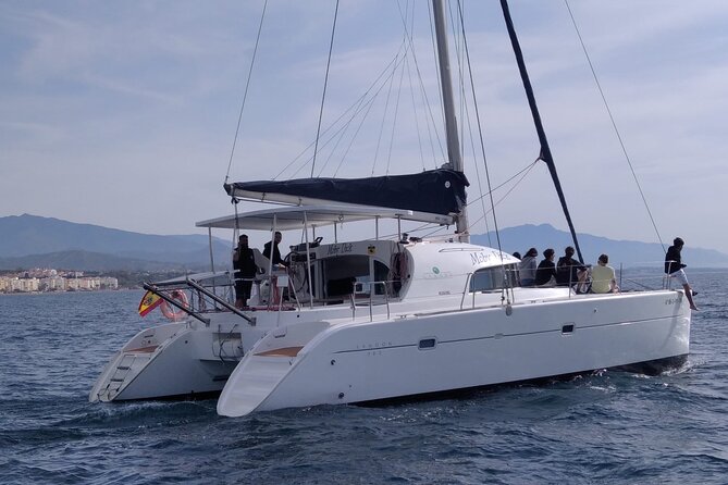 Dolphin trips on a catamaran - Considerations Before You Book